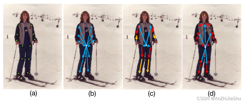 AdaptivePose++: A Powerful Single-Stage Network for Multi-Person Pose Regression 阅读笔记-CSDN博客