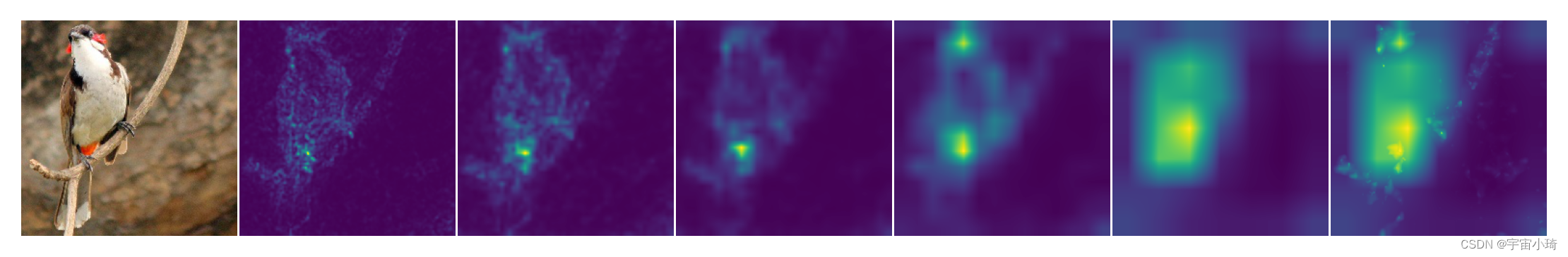 LayerCAM：Exploring Hierarchical Class Activation Maps for Localization-CSDN博客