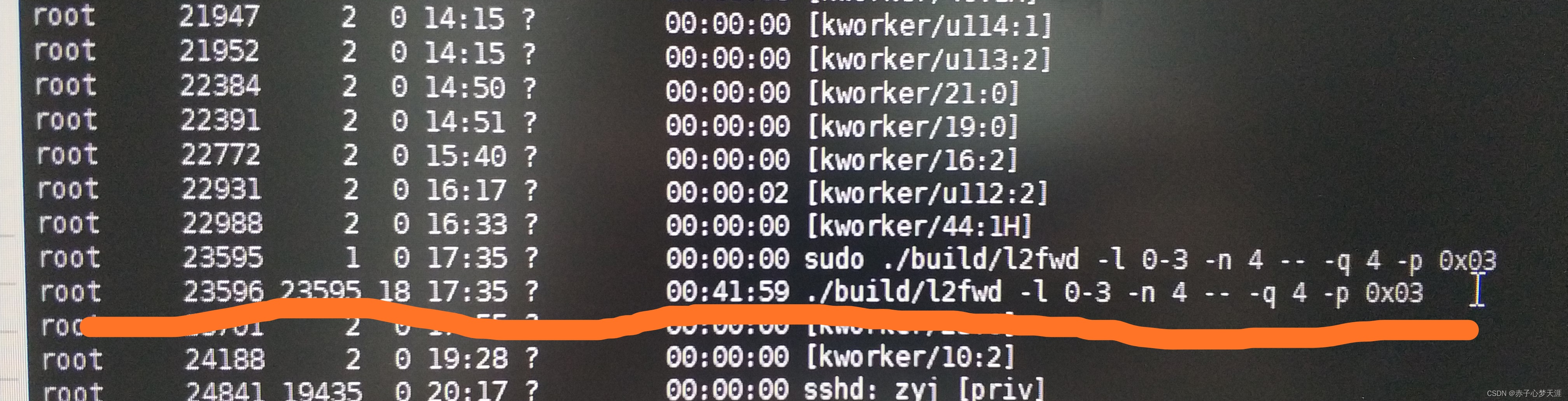 DPDK示例之EAL初始化时出错_cannot init eal-CSDN博客