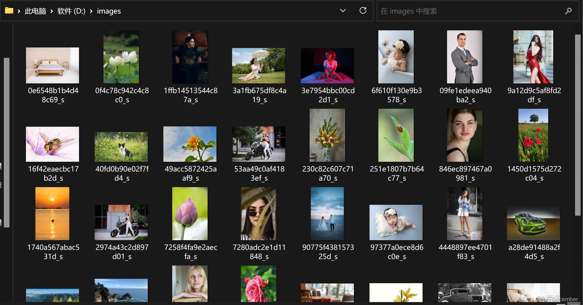 【python从入门到进阶】29、xpath抓取站长素材图片怎么读取图片xpath的属性 Csdn博客 7365