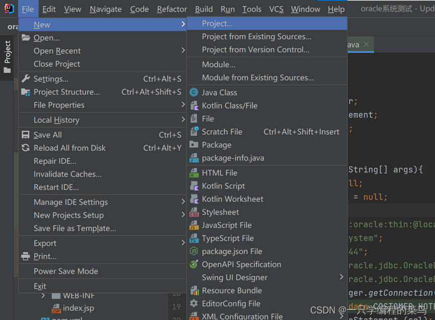 用IDEA2021.3来创建一个maven项目（连接oracle数据库）_oracle maven-CSDN博客