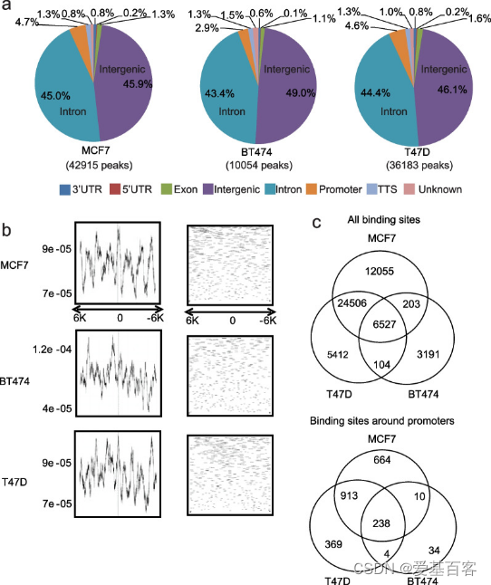 Cell Commun Signal｜ChIP-seq和Bru-seq揭示转录因子GRHL2在管腔型乳腺癌中的调控网络_转录因子落在编码区怎么办-CSDN博客