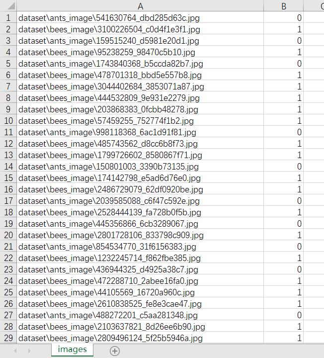 学习Pytorch+Python之自定义数据集(创建CSV文件)_pytorch 自定义数据集 一定要定义一个csv文件来记录标签-CSDN博客