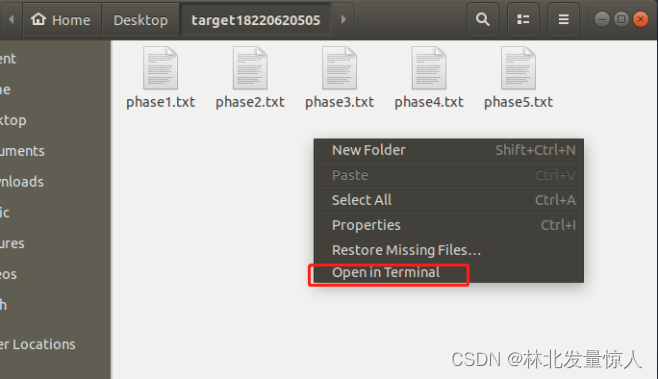 CSAPP-AttackLab实验_csapp实验attack lab-CSDN博客