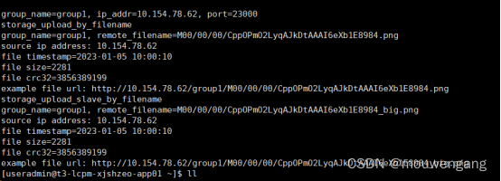 linux离线部署fastdfs5.11_linux 离线 fastdfs-CSDN博客