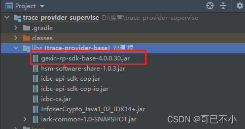 idea 新拉项目依赖加载报错(omitted for duplicate)-CSDN博客
