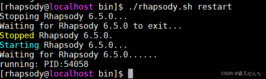 【Rhapsody学习笔记（二）】Linux环境下的Rhapsody集成引擎安装部署-CSDN博客
