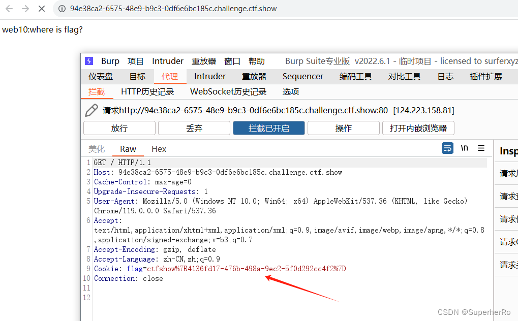 CTFSHOW系列-web10(信息收集-cookie泄露)_ctfshow web10-CSDN博客