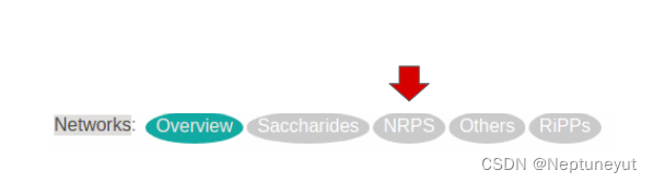 Antismash-BigScape次级代谢基因簇鉴定-CSDN博客