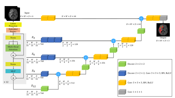 UNETR: Transformers for 3D Medical Image Segmentation-CSDN博客