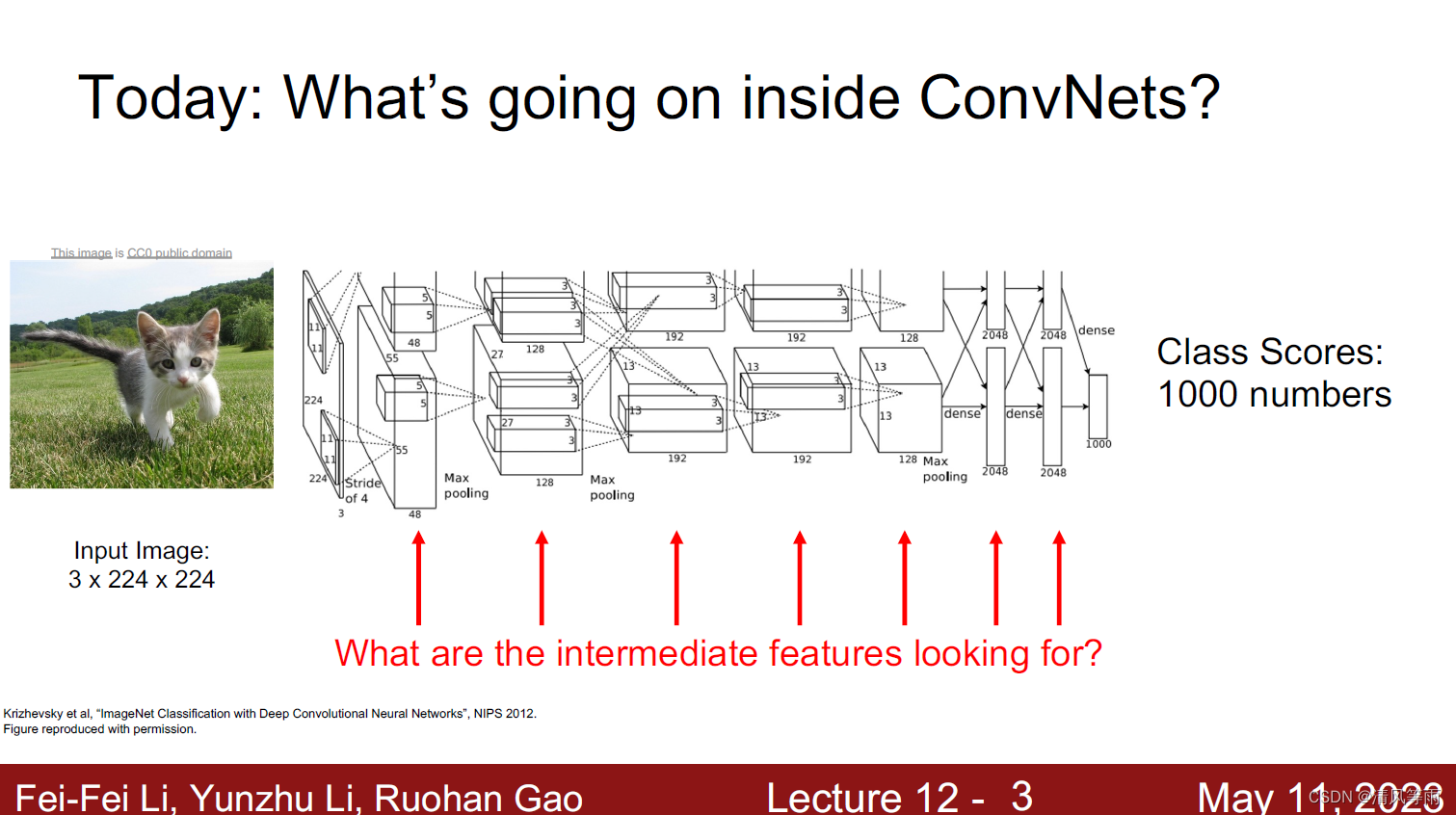 cs231n 2023春季课程理解——lecture_12_2023版cs231n-CSDN博客