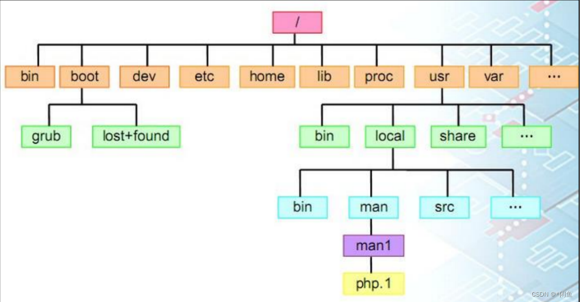 【linux目录及命令（1）】查看用户家目录命令 Csdn博客 