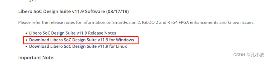 Libero的使用手册_liberosoc使用教程-CSDN博客