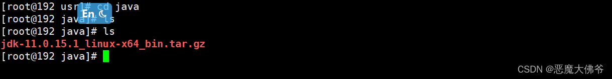 centos7.9 手动安装 java11_centos java 11 jre home-CSDN博客