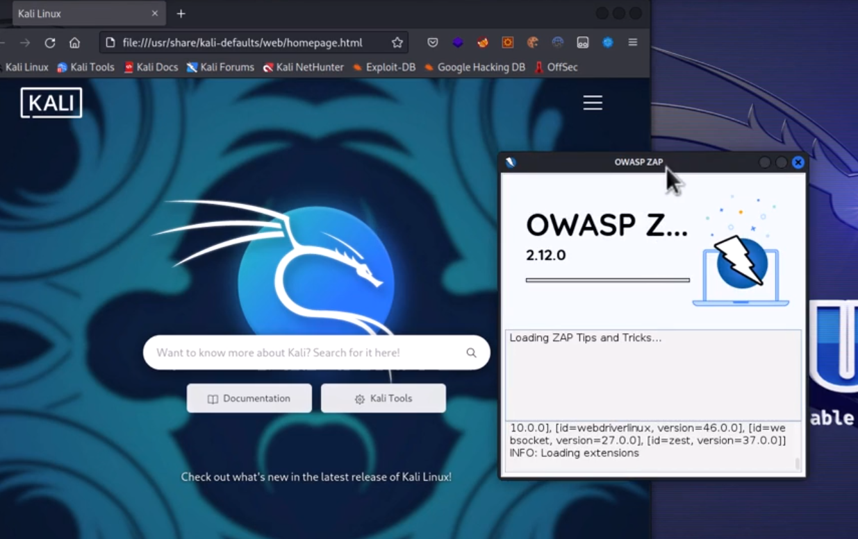 如何使用ZAP代理查看和修改请求_owasp zap代理配置-CSDN博客