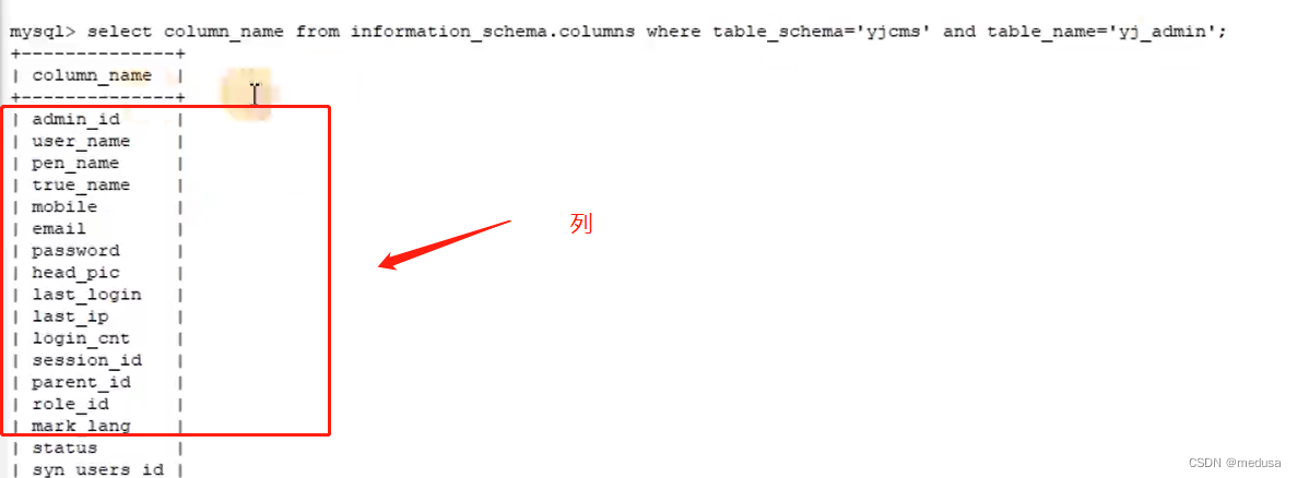 12sql注入篇之informationschema数据库利用sql使用information Schema表 Csdn博客