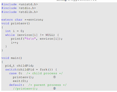 Lab1&2_Environment_Variable_这些环境变量是在用户的shell进程中设置的。现在,在shell中从步骤2开始运行 ...