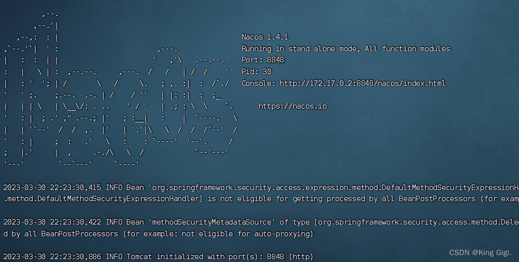 docker 安装并启动nacos2.2.0版本（成功解决报错nacos-logback.xml找不到）_could not initialize logback nacos logging ...