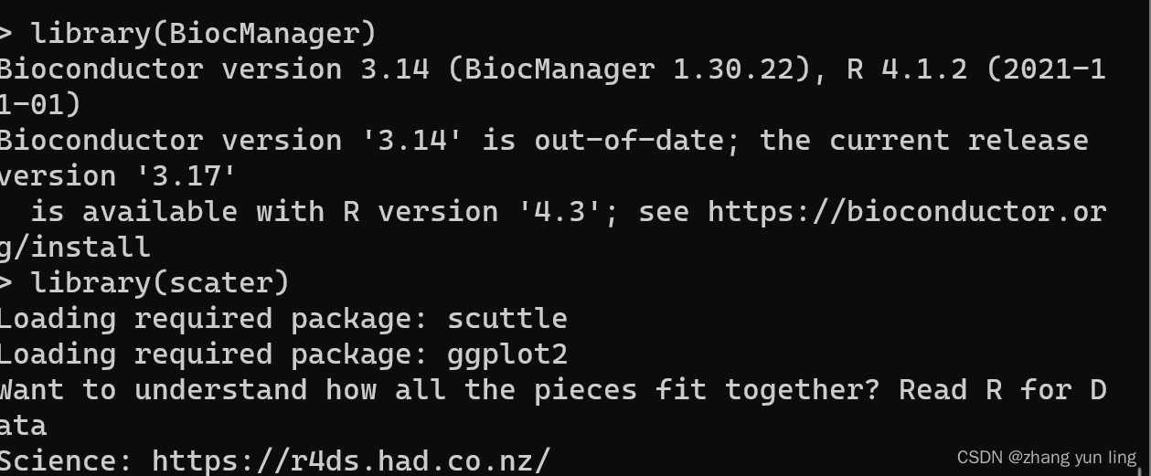 安装R以及Rstudio的安装_r语言显示好了是不是r包安装成功了-CSDN博客