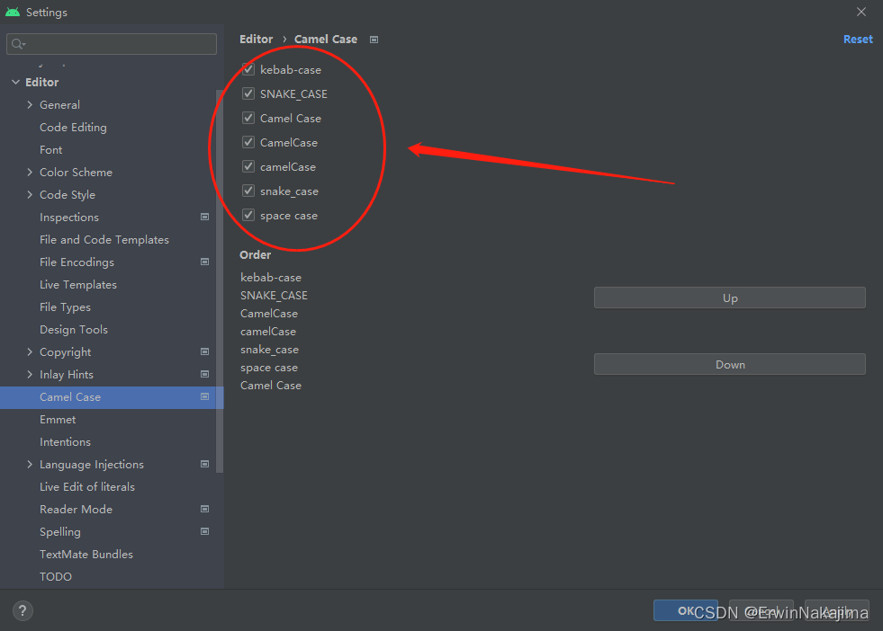 IDEA（或Android Studio）CamelCase插件的使用（解释了CamelCase插件无法使用问题）_camelcase插件怎么用-CSDN博客