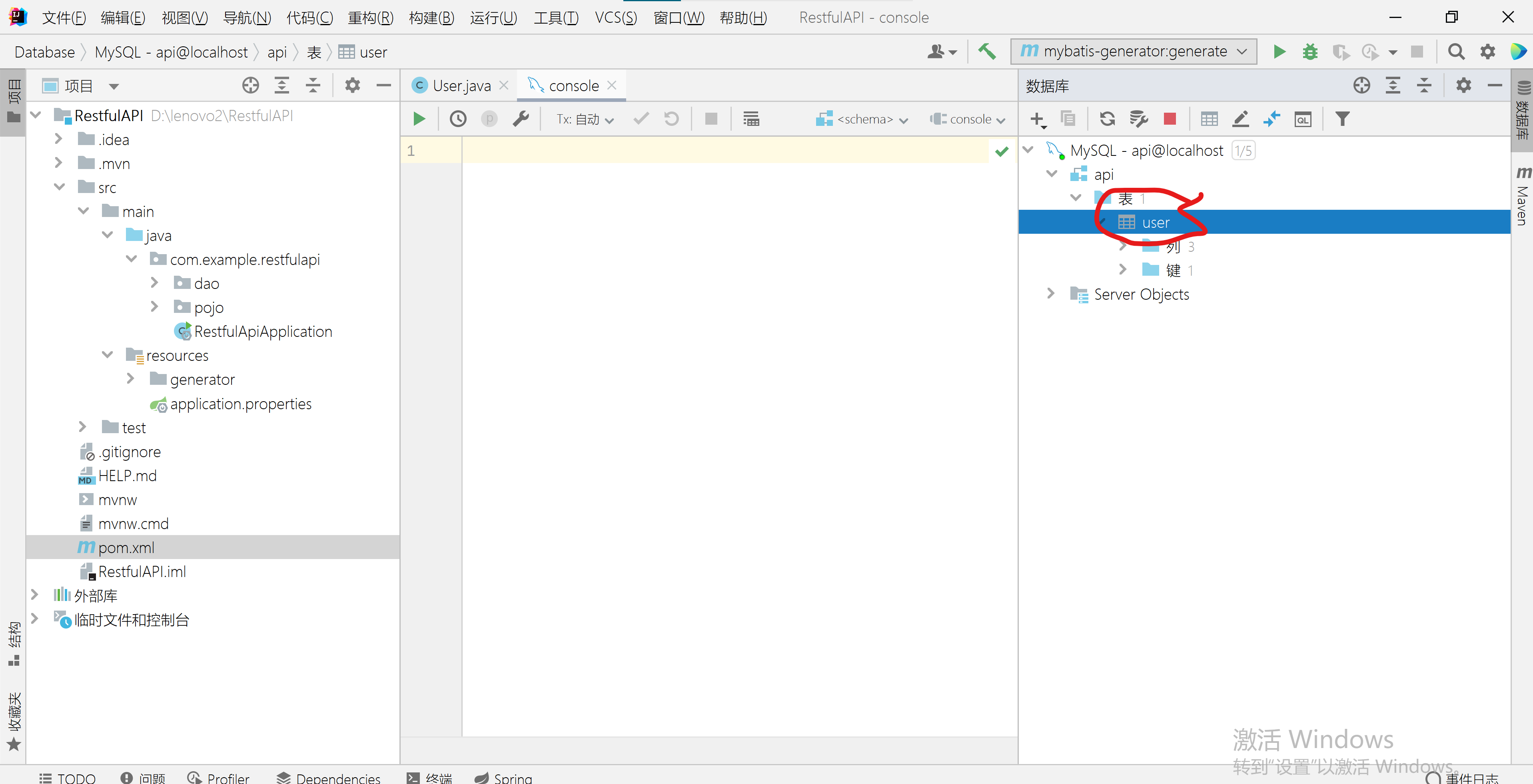 Idea使用插件生成实体类和xml Xml转实体类的idea插件 Csdn博客