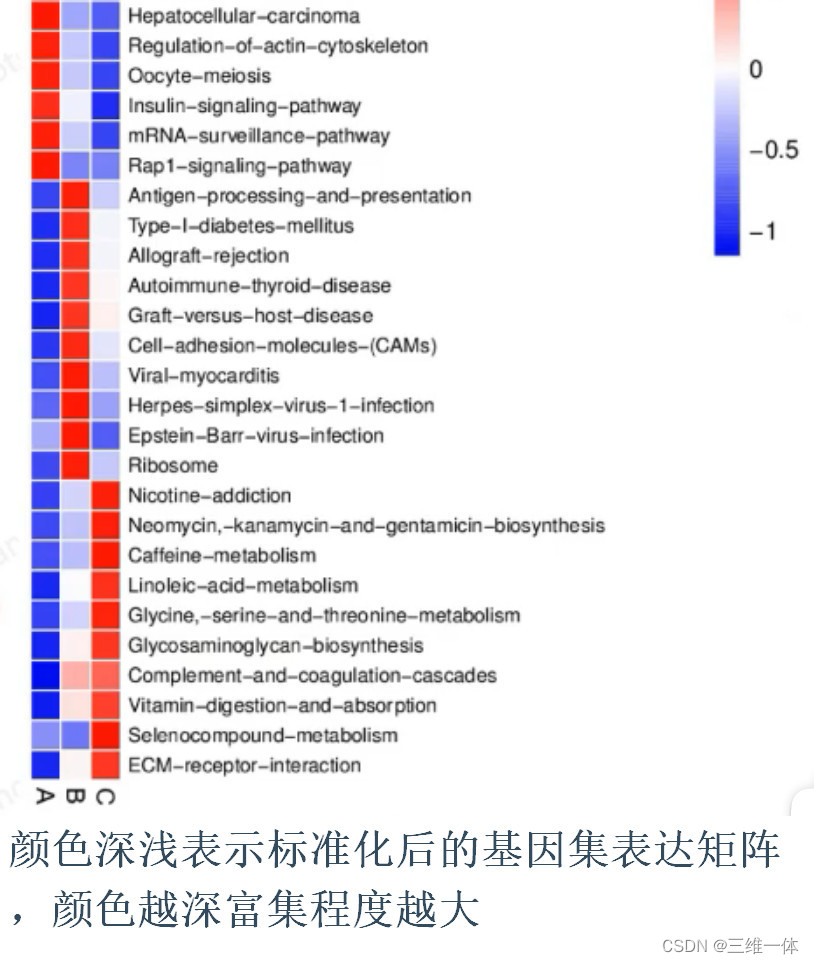 单细胞测序GSVA及下游limma差异分析_单细胞gsva-CSDN博客