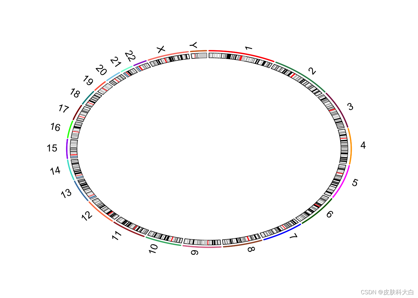 用RCircos包来画圈圈图-CSDN博客