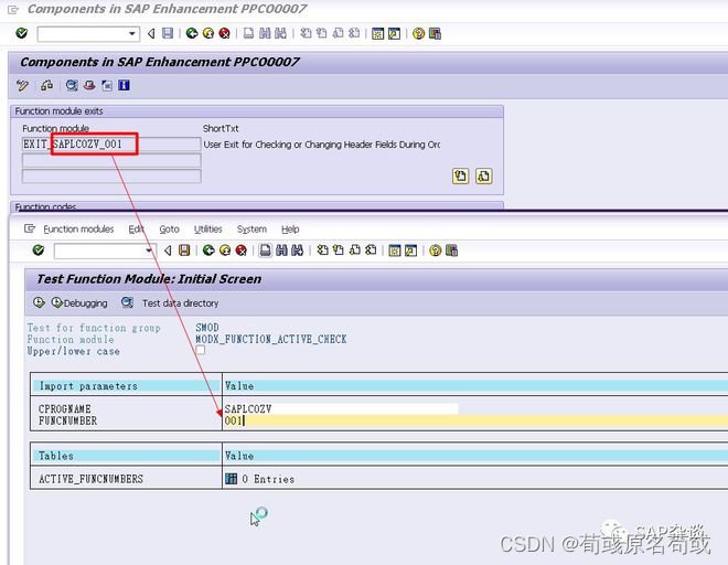 SAP 工单CO01/CO02增强 （RFC: CO_BI_AFPO_UPD 、CO_BI_AFPO_GET 和 SMOD : PPCO0007）＜转载＞_co01 增强-CSDN博客