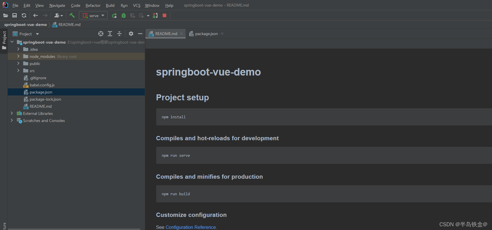 从0搭建一个springbootvue前后端分离项目二使用idea进行页面搭建页面搭建idea新建springbootvue项目