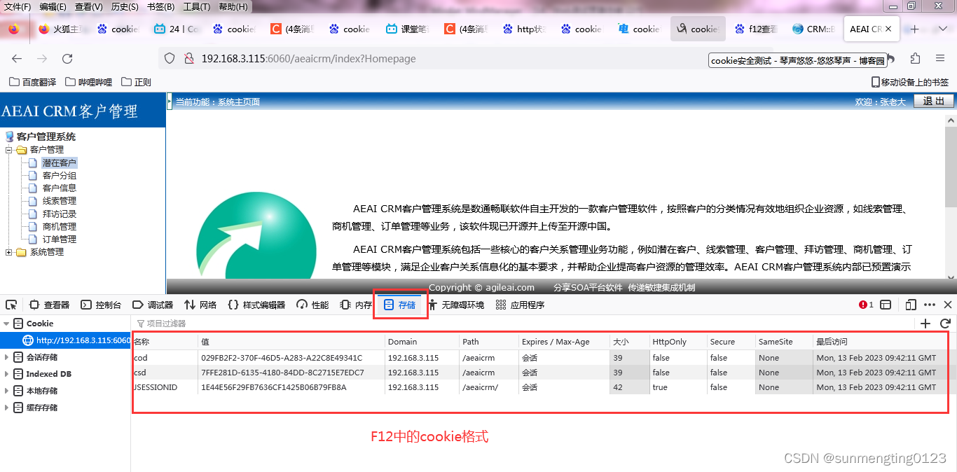 httpwatch和F12如何查看cookie的格式_电脑文件里可以看到cookie的配置格式吗-CSDN博客