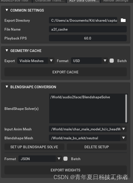 audio2face控制ue5蓝图_audio2face事实驱动ue5模型-CSDN博客