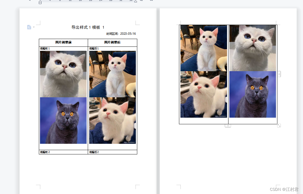 Java 使用 XDocReport 导出 word 包含图片表格的处理_java导出word表格中多个图片-CSDN博客