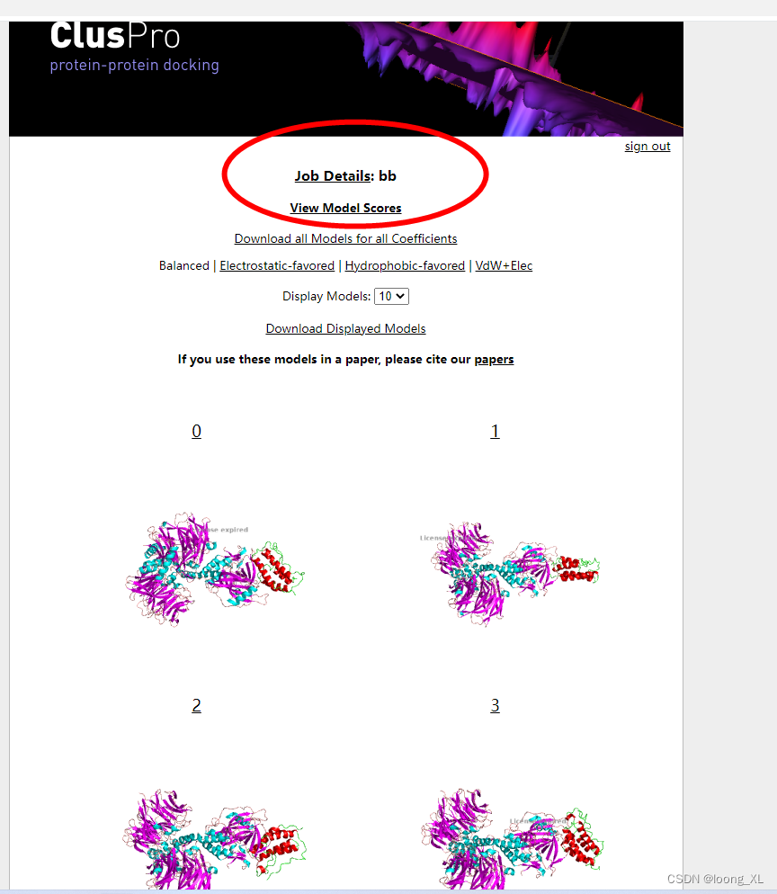 HDOCK 蛋白蛋白对接软件使用；LZerD、pyDock、ClusPro网页在线对接 - 编程宝典