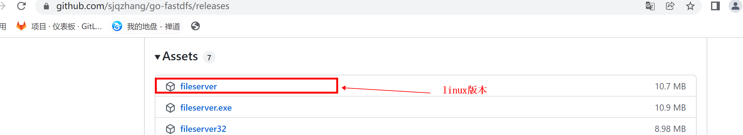 linux环境下go-fastdfs安装及使用_gofastdfs-CSDN博客