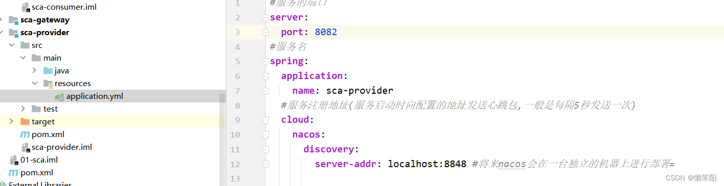 Nacos服务注册中心_nacos his_config_info_懂Java的懒阳阳的博客-CSDN博客