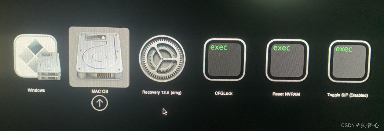 使用大佬EFI安装黑苹果后启动项太多？黑苹果无损去除多余启动项，只留下win和MAC图标，有手就会，还你歌干净的启动图标_macos开机启动项太多-CSDN博客
