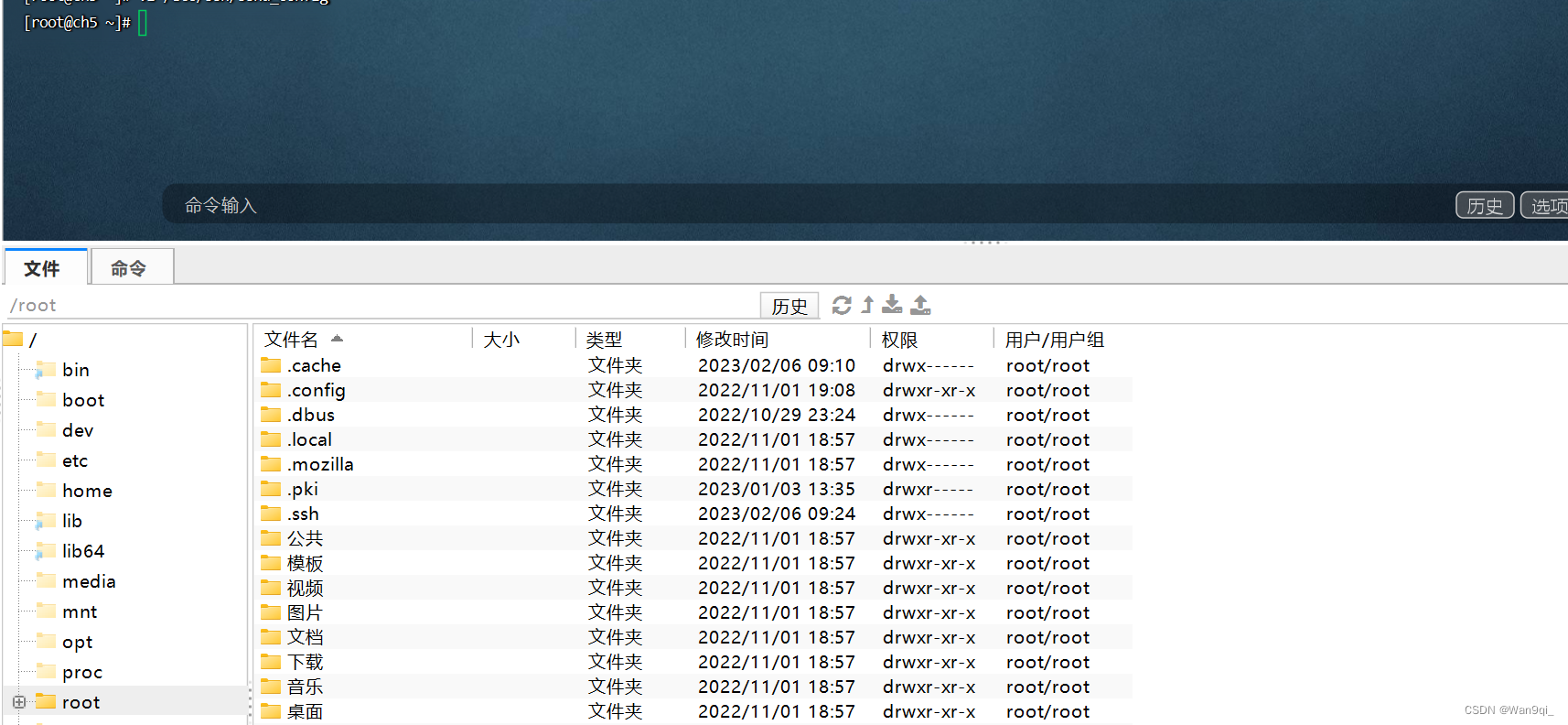 Finashell远程连接不显示文件夹列表_finalshell文件夹不显示-CSDN博客