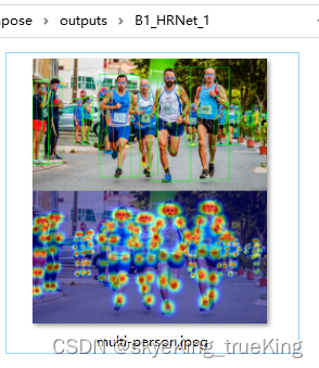 MMPose预训练模型预测-命令行_mmpose预训练模型预测视频-CSDN博客