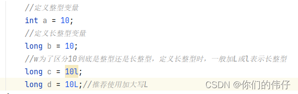 数据类型与变量int型字面量 Csdn博客
