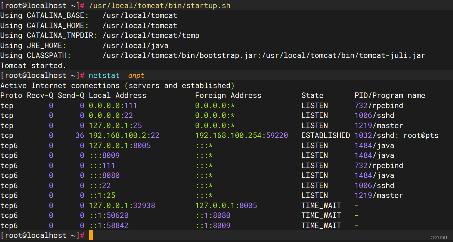 搭建Tomcat +案例_tomact web开发案例-CSDN博客