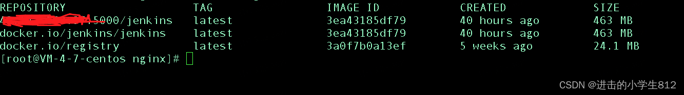 centos7.6搭建docker私有仓库_daemon.json.rpmsave-CSDN博客