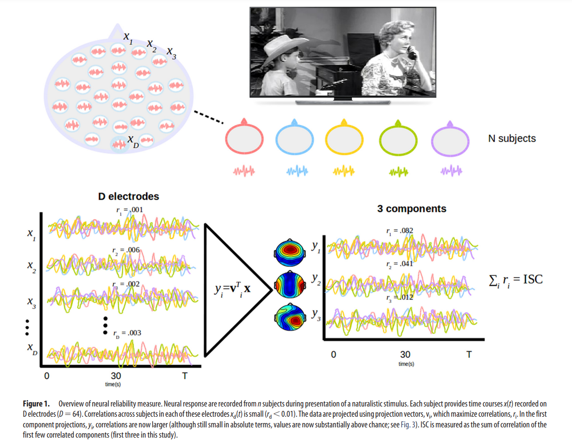 认知神经科学简介_intersubject correlation analysis (isc)-CSDN博客