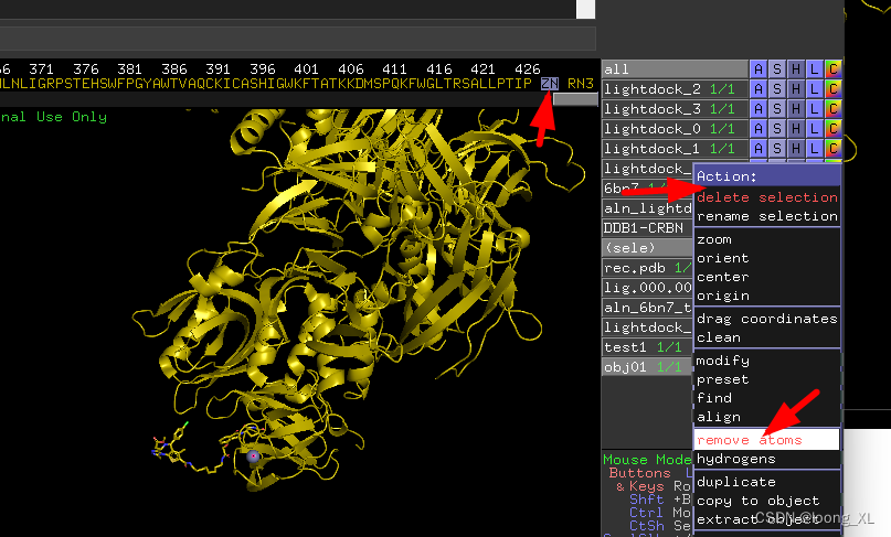 pymol 分离蛋白与小分子保存；pymol分离蛋白多聚体亚基；pymol对接位点交互图展示；去除杂原子_loong_XL的博客-CSDN博客