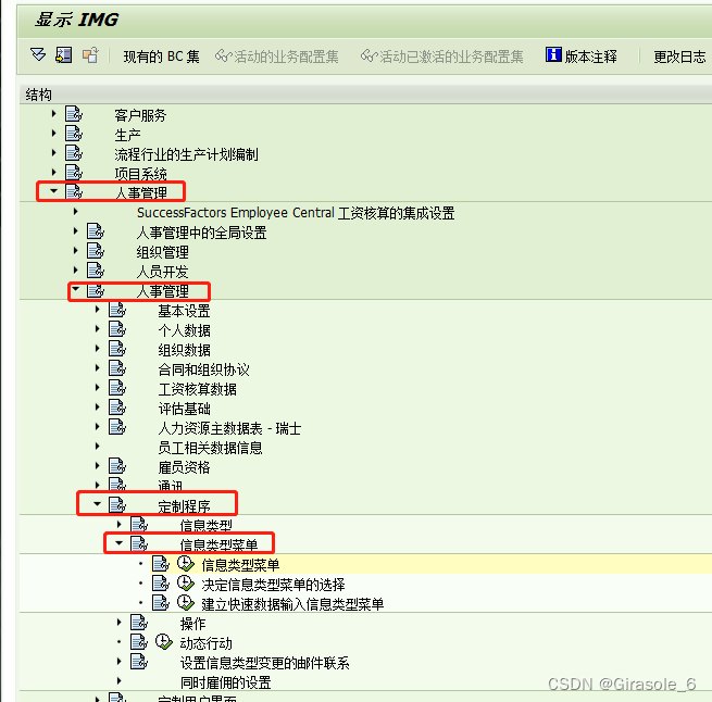 SAP HR:Infotype-信息类型（HR305）_sap hr305-CSDN博客