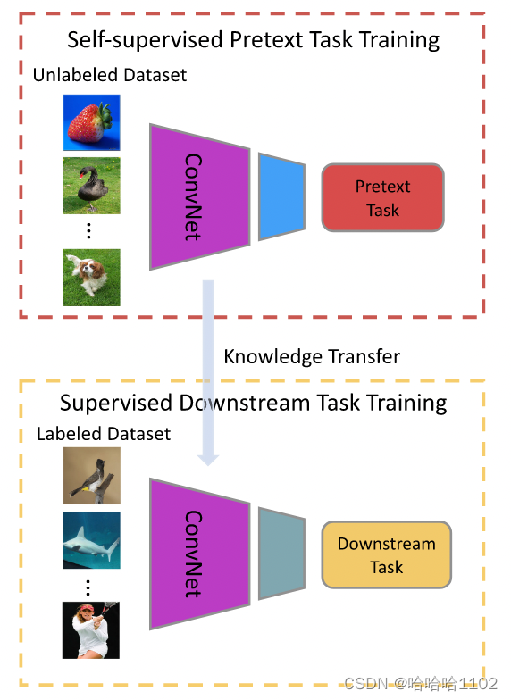 【自监督学习综述】self Supervised Visual Feature Learning With Deep Neural Networks A Surveyself
