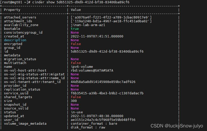 实例删除后volume仍然为in-use解决方法_volume is in use-CSDN博客