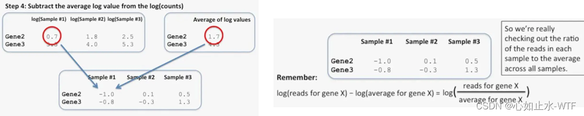 DEseq2 差异分析基本原理-CSDN博客