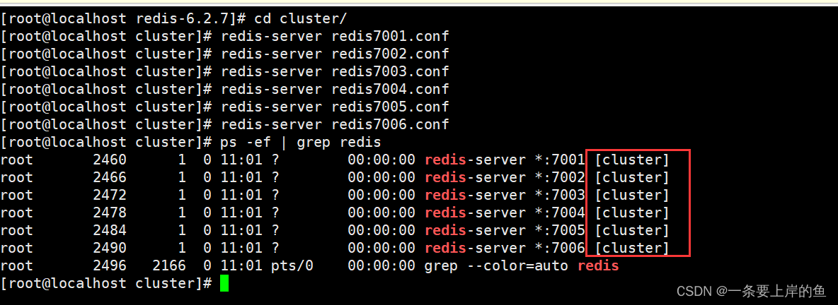 Java高级 redis_java判断redis的key是否存在-CSDN博客