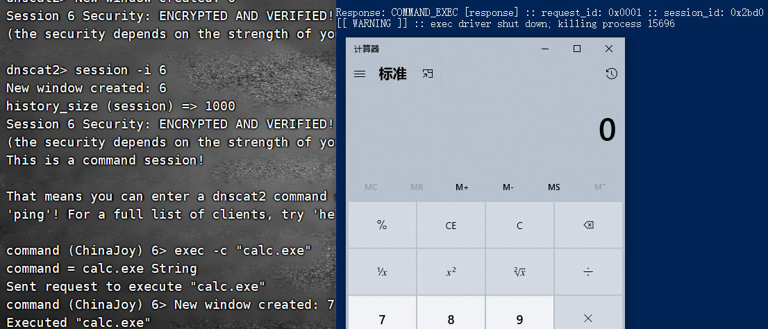 【工具使用】应用层DNS协议工具---dnscat2-CSDN博客